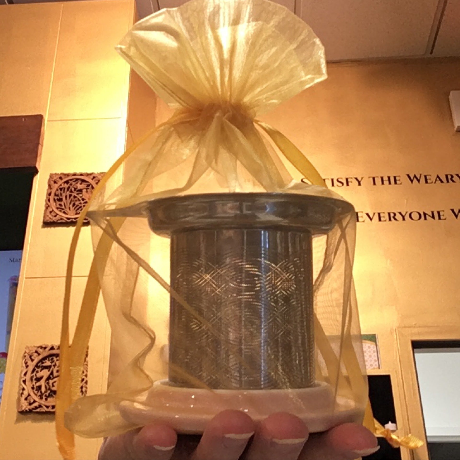 Mesh Tea filter in Sachet bag | The Green Teahouse